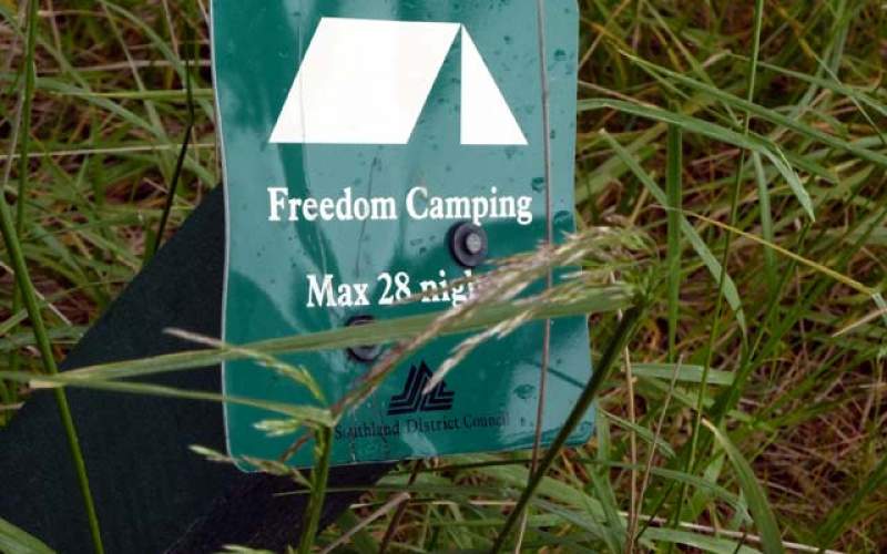 Aparima Bridge River Bank | Freedom/Basic Camp | New Zealand